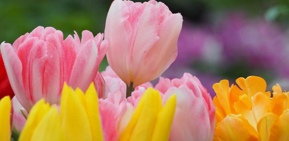 心が軽くなるコミュニケーション講座 ココカル！ #48(前編) | Peatix