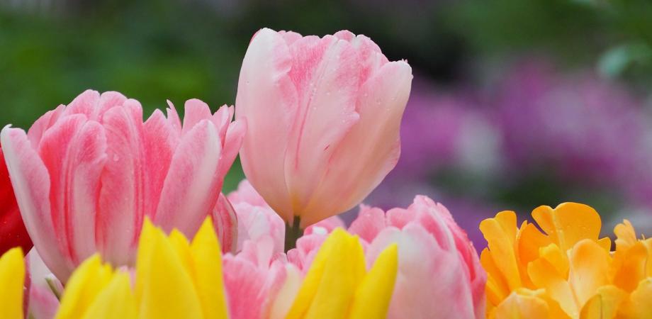 心が軽くなるコミュニケーション講座 ココカル！ #49(後編) | Peatix