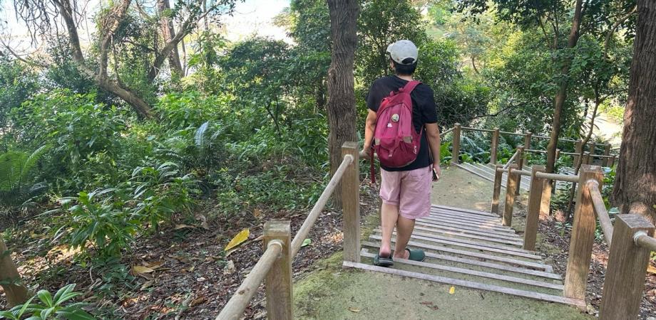 Eco-Writing Workshop (31 May) | Peatix