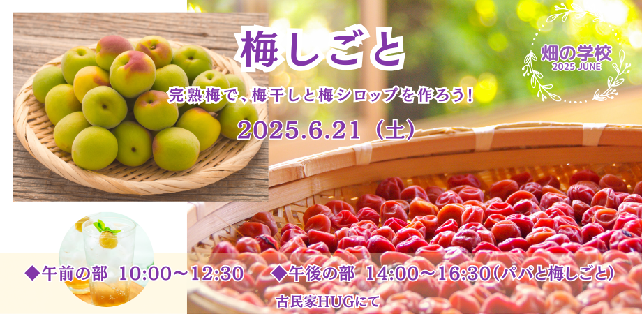 畑の学校～みんなで梅仕事～ 完熟梅で梅干しと梅シロップを作ろう！ | Peatix