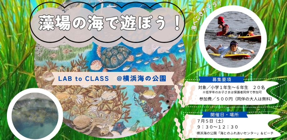 海の環境教育NPO bridge | Peatix