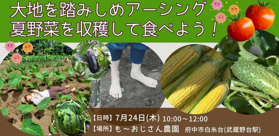大地を踏みしめアーシング 夏野菜を収穫して食べよう！ | Peatix