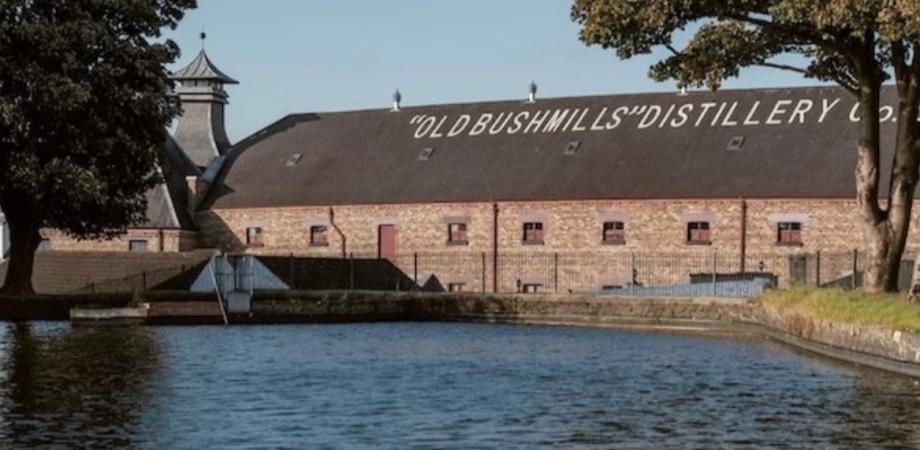 BUSHMILLS NIGHT 八王子 | Peatix