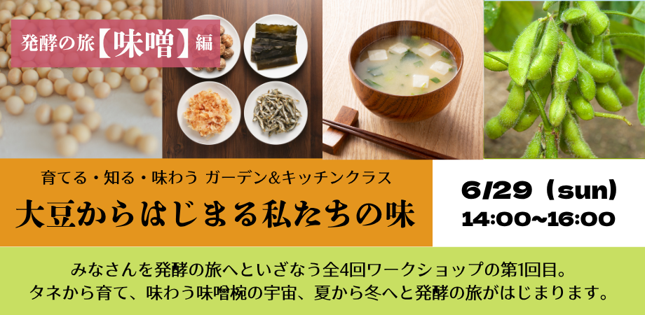 発酵の旅【味噌】編 ～大豆からはじまる、わたしたちの味～Vol.1（全4回） | Peatix