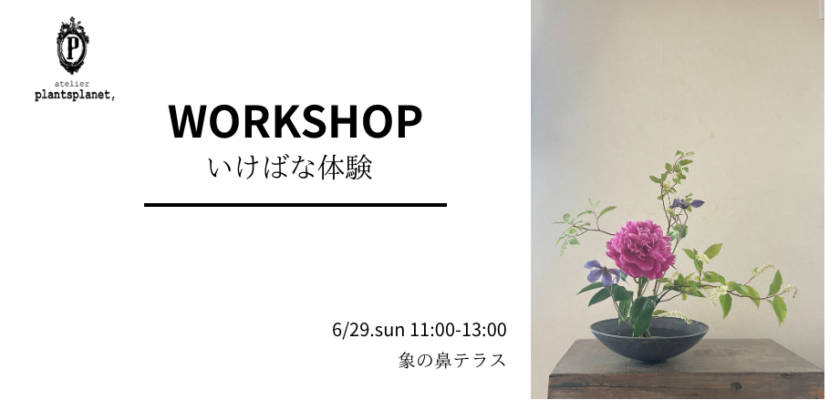 いけばな体験 6/29.sun 午前 | Peatix
