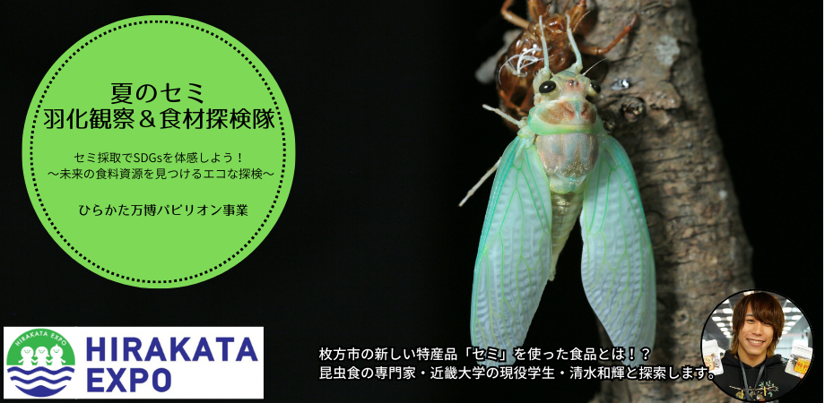 枚方万博パビリオン事業・夏のセミの羽化観察＆食材探検隊 | Peatix
