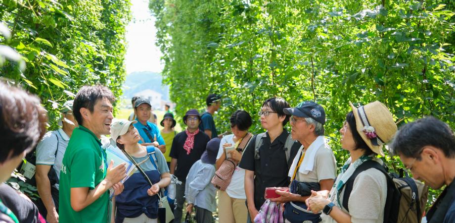 遠野ホップ収穫祭2025_ホップ畑体験会（8月23日・24日） | Peatix