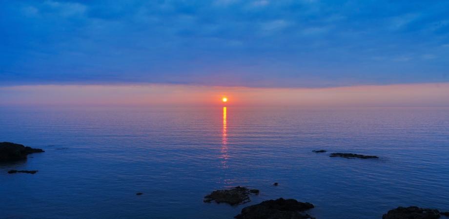 第17期呼吸道基礎講座 | Peatix