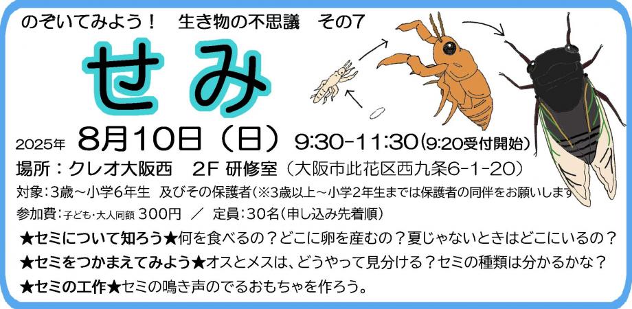 セミ ～のぞいてみよう！ 生き物の不思議 その7～ | Peatix