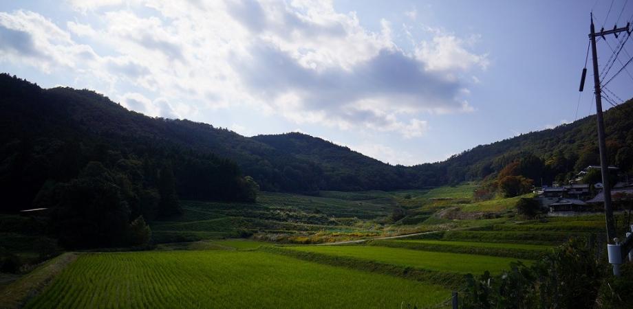 第45回中日本入会林野研究会大会 | Peatix