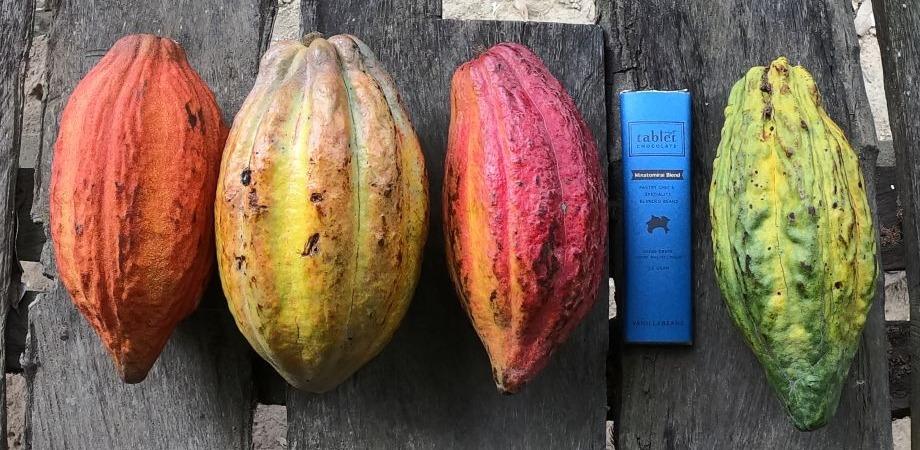 Bean to Barを体験!ミニファクトリーツアー＆板チョコ作りワークショップ vol.2 | Peatix