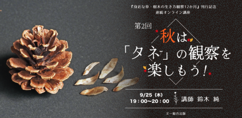 『身近な草・樹木の生き方観察12か月』刊行記念 全4回連続オンライン講座 第2回：秋は「タネ」の観察を楽しもう！ | Peatix