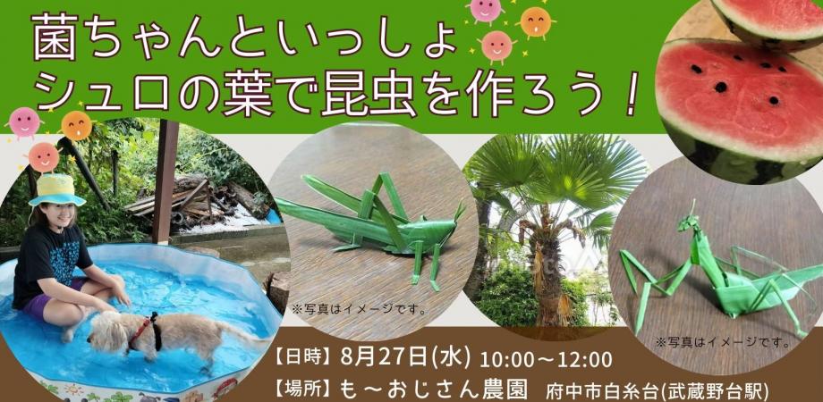 夏休み特別企画 シュロの葉で昆虫をつくろう！ | Peatix