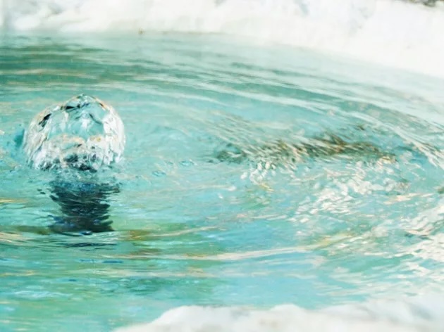 土サミット KYOTO2025 | Peatix