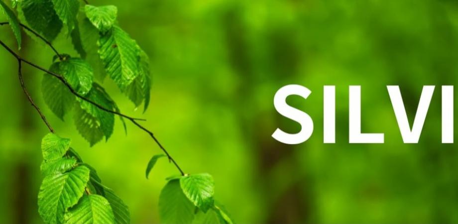 BNI Tokyo N.E. region SILVISチャプター 第174回定例会 | Peatix