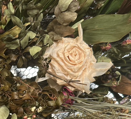 竹中工務店 サーキュラー支店 展 ～スクラップアンドビルドから、資源が循環する建築へ～ | Peatix