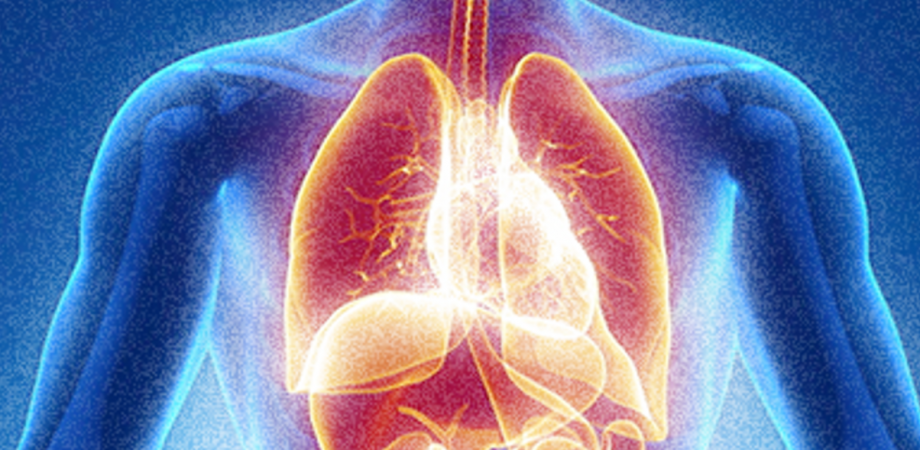 心カテBoot Camp ～心臓カテーテル検査に必要な基礎知識～ | Peatix