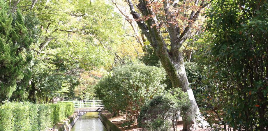 2025年度 日本造園学会100周年記念全国大会 | Peatix