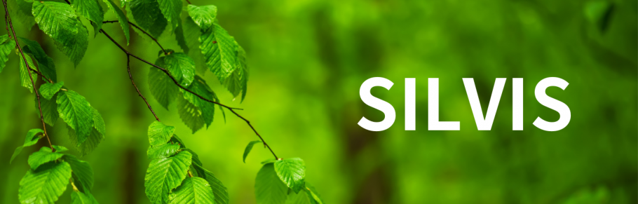 BNI Tokyo N.E. region SILVIS chapter | Peatix