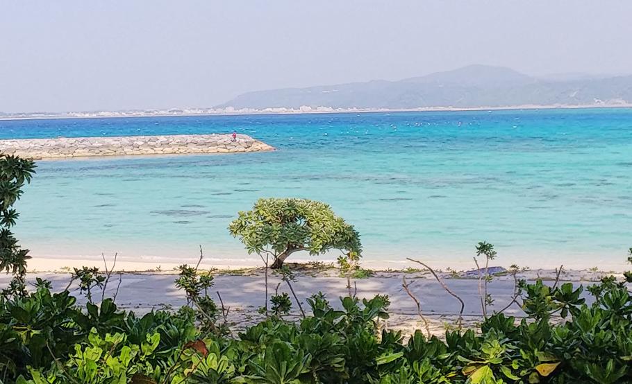 MSC Links キャリアコンサルタントのための 学びとつながりの集い | Peatix