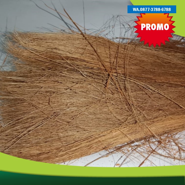 0813-9313-9465, Daftar Harga Coco Bristles Wonogiri, Harga Coco Bristle Wonosobo, Cocos Bristol ...