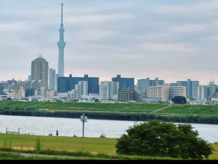 あだちTSネット・2022年10月定例会 | Peatix