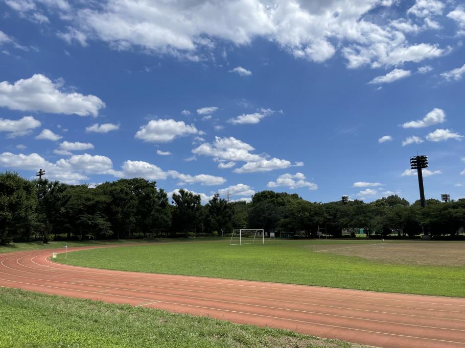 Knowledge and Insight of Running～ランニングの知識と見識～ | Peatix