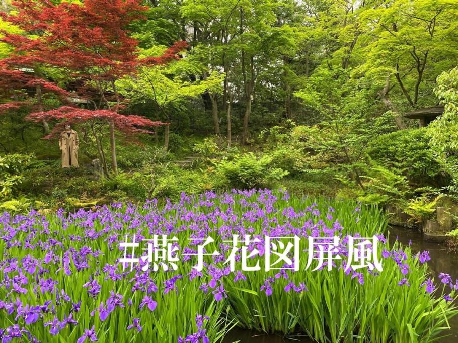 ゆる歴史散歩会 | Peatix