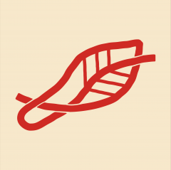 つむぎや1周年！yoccoさんコラボ企画 | Peatix