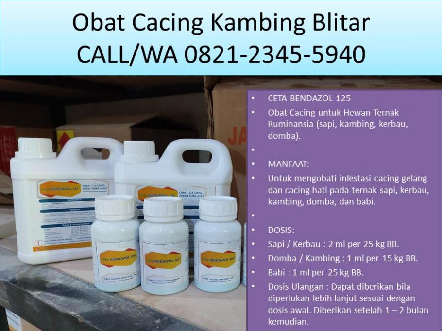 [HARGA GROSIR]CALL/WA 0821-2345-5940, Obat Cacing Domba Bunting Blitar ...
