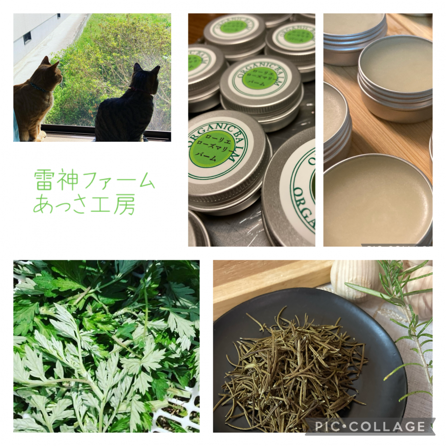 ライジンファーム （SATORISM TV トーク＆ライブ in 大阪 主催者） | Peatix