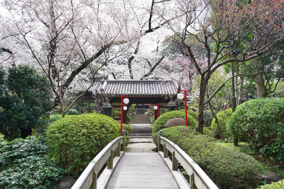 【10/13(Sun), 14(Mon), 11/3(Sun), 4(Mon)】＜ファミリーデー＞Rooftop Lounge YURAGI | Peatix