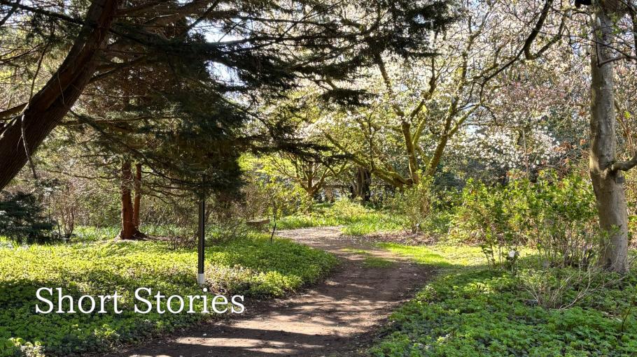 実験空間ショートストーリーズ #18 | Peatix