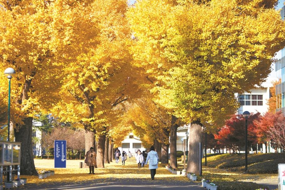 さがみアカデミー（大学公開講座） | Peatix