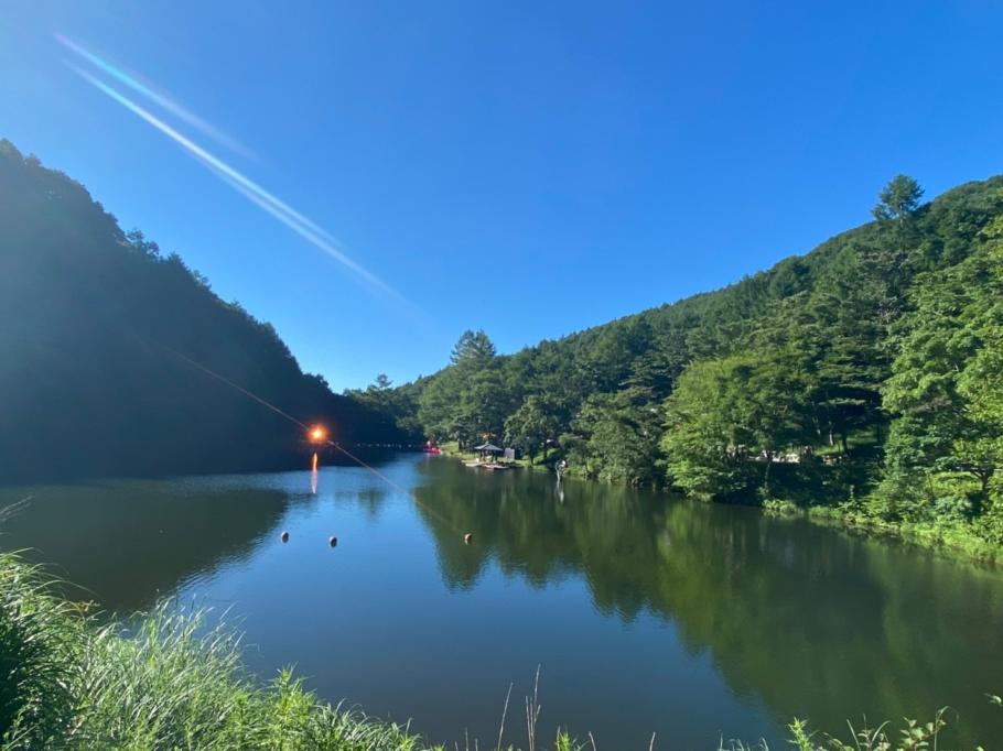 SAKAZUKI2023【ザ☆サカズキショー】7/21・7/22・7/23 3DAY’s PARTY | Peatix