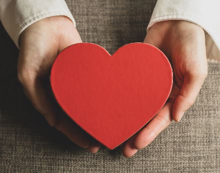 LEAD and Solgud Ark School | Peatix