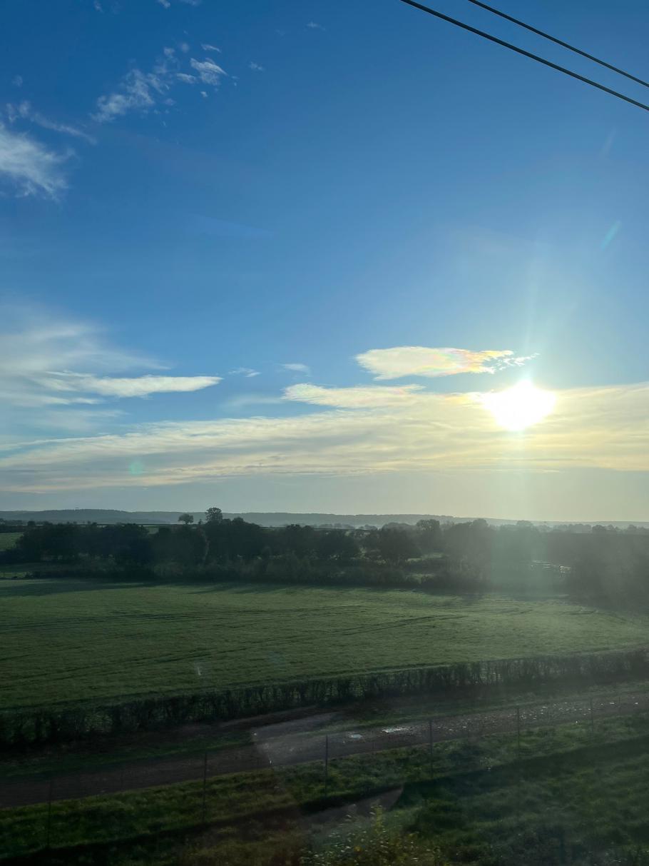 薬膳基本学（五行）暑さ・湿度と体調不良 8/18 | Peatix