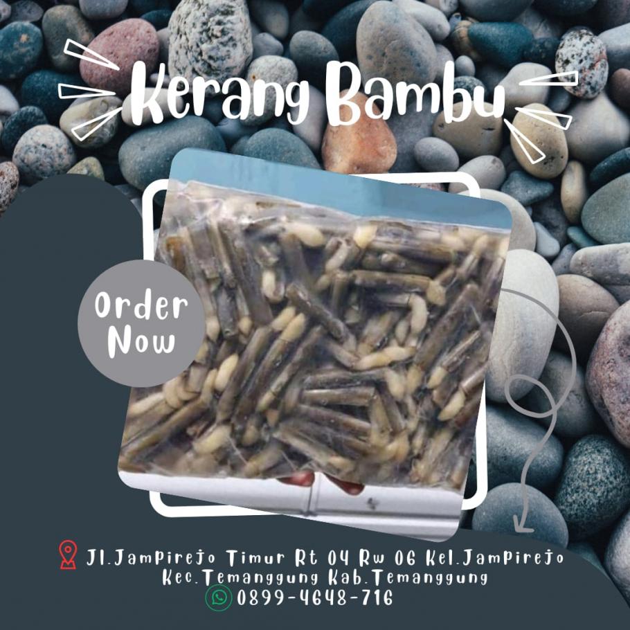 kerang bambu | Peatix