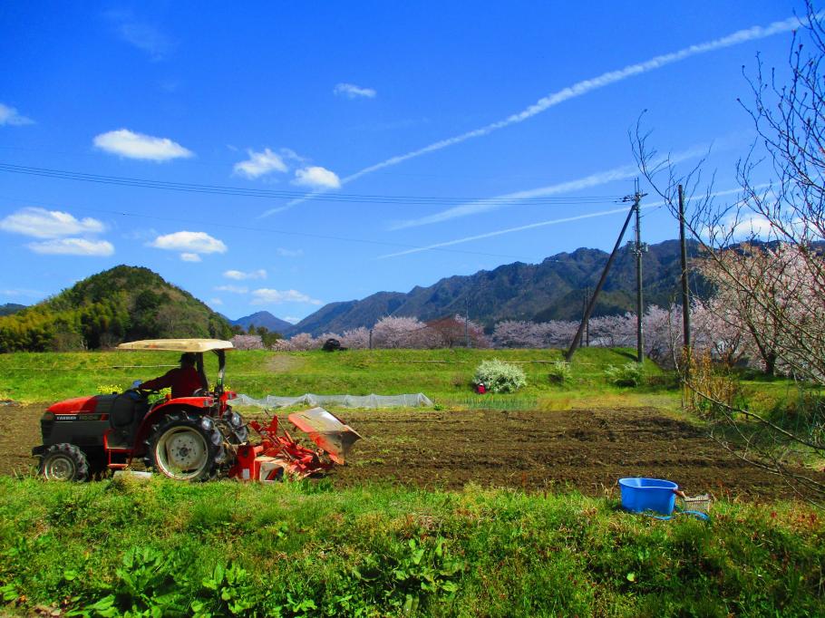 集いの場研究所 プロデュース いしだふぁーむ | Peatix