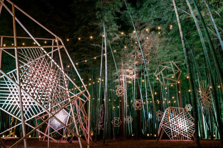 たがみバンブーブー2024 | Peatix