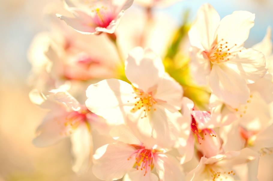 AIと共生する言語教育を考えるグループ | Peatix