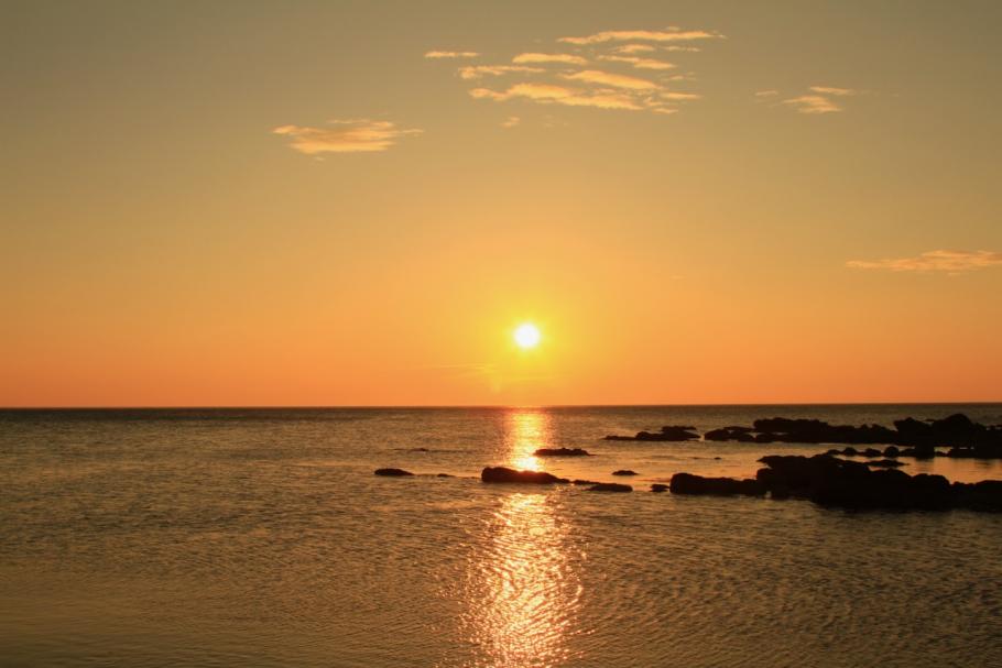 みずほ会 | Peatix