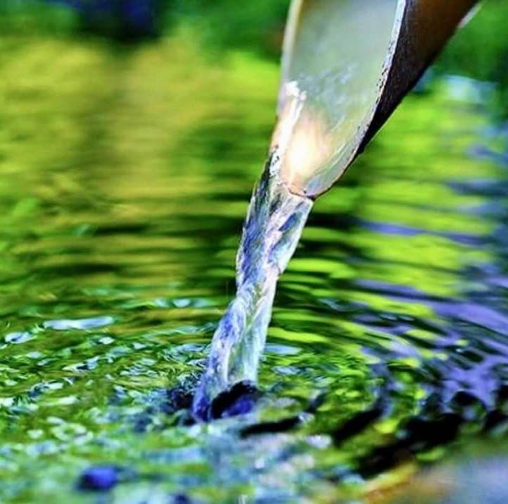 こころとからだを元にもどすテクノロジー | Peatix