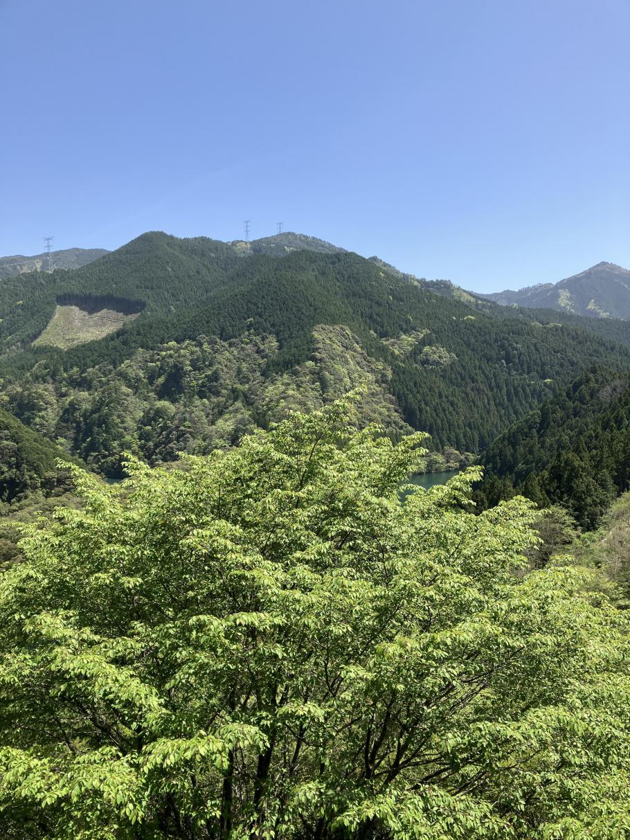 Academia Finding Wonder | Peatix