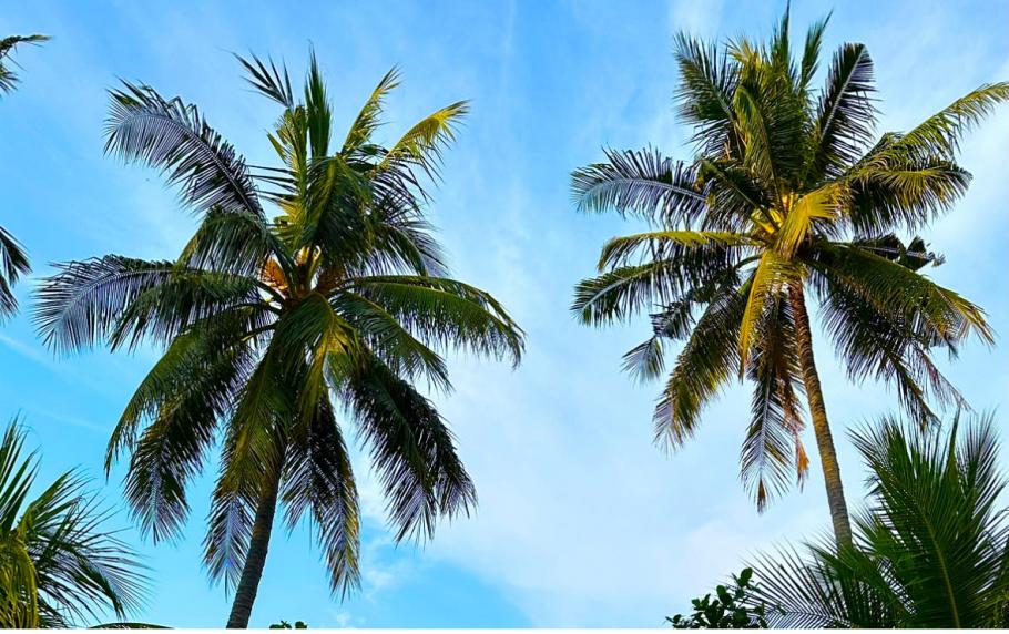 bulan purnama | Peatix