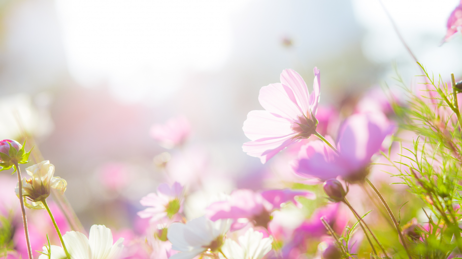 Learning project school | Peatix