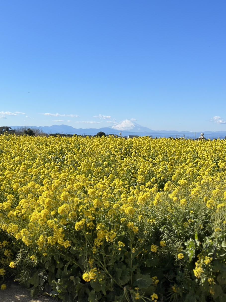大田区倫理法人会 倫理経営講演会 | Peatix