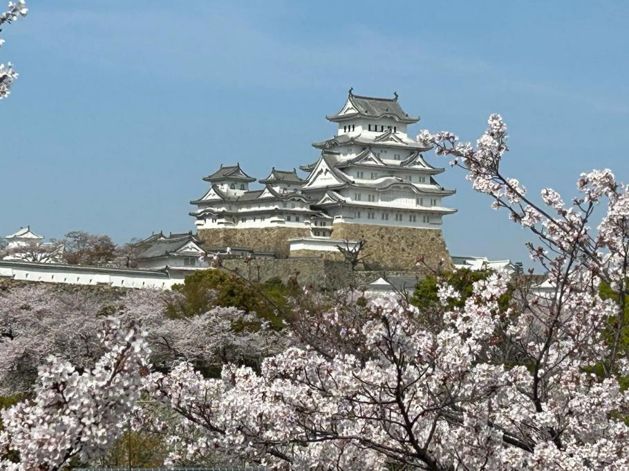 全国社会科実践サミット 実行委員会 | Peatix