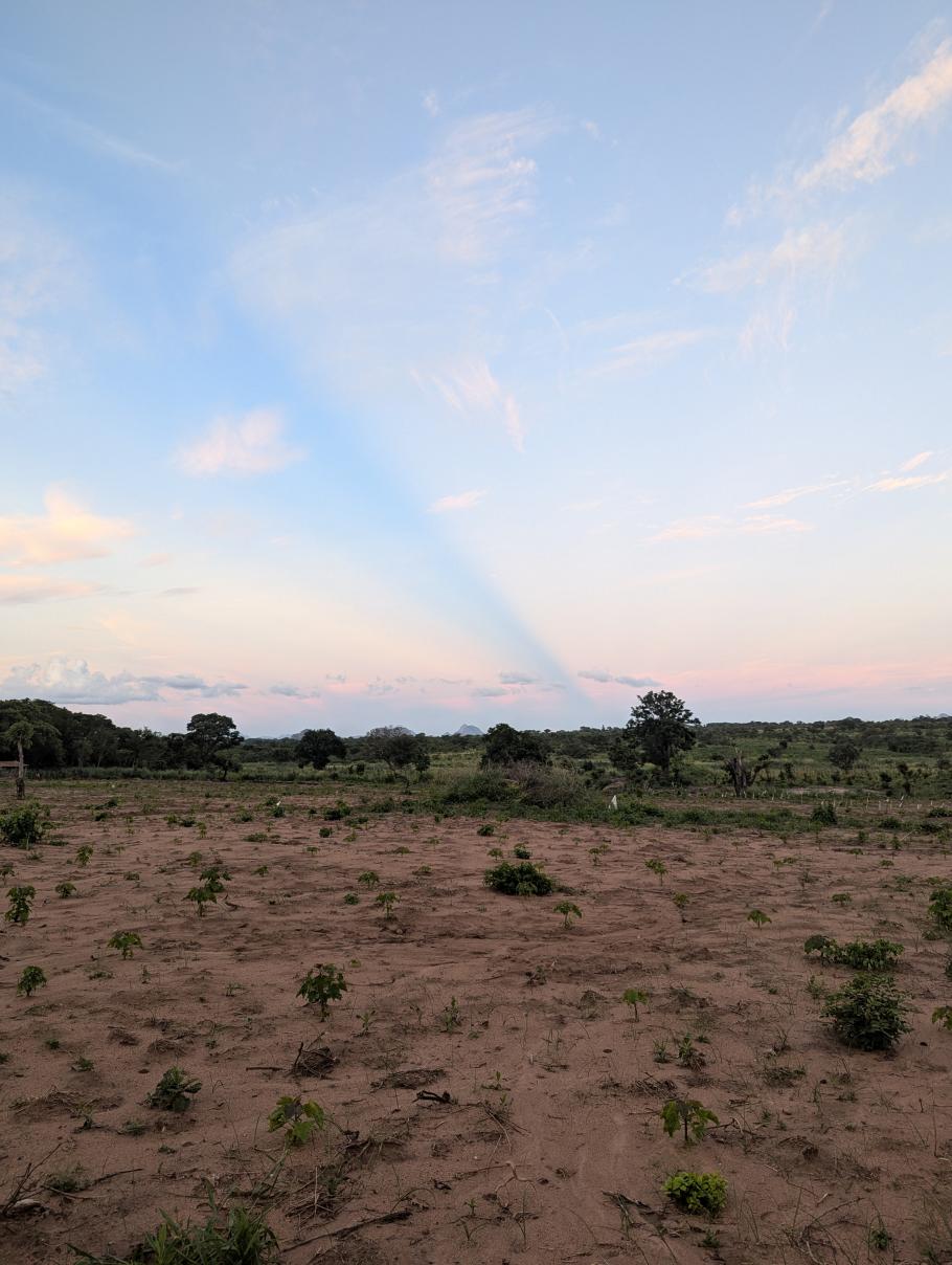 アフリカでビジネスとか Chatting about business in Africa | Peatix