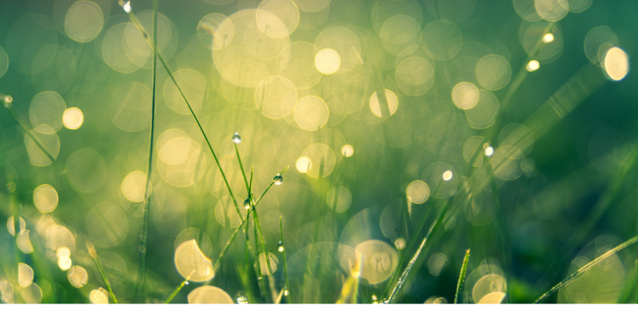 Yuj～こころゆるまる～ | Peatix